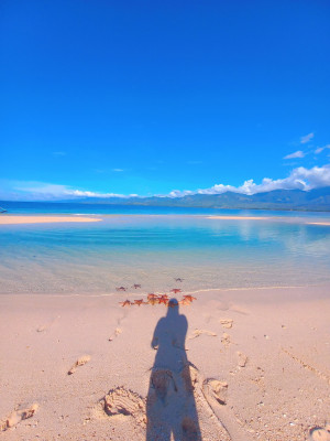 Villa Victoriano Beach Resort In Mararison ₱300 @ Culasi, Antique | PH ...