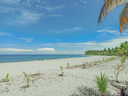Fatima Beach Resort ₱50 @ Mamburao, Occidental Mindoro | PH.vacations