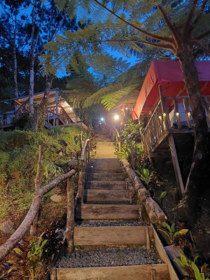 The 9 Pines ₱30 @ Real, Quezon | PH.vacations