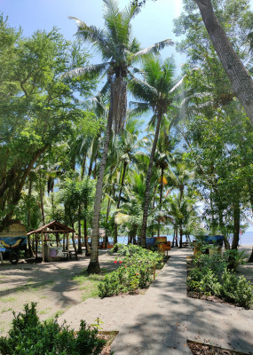 ADVENTURE CAMP BEACH RESORT ₱20 @ Sablayan, Occidental Mindoro | PH ...