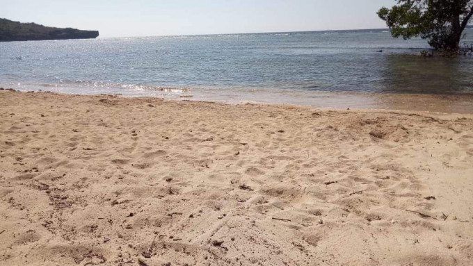 The Payad Beach and Farm Resort ₱7,500 @ Agno, Pangasinan | PH.vacations