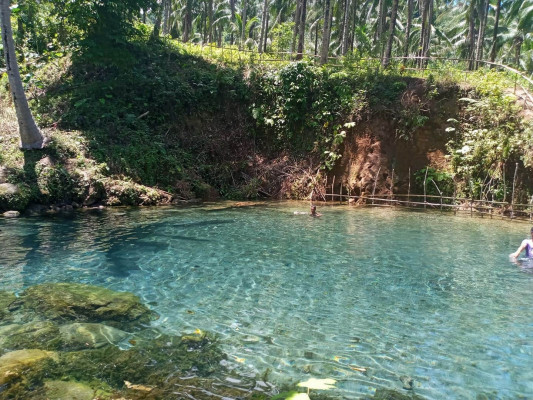 Tangke Nature Spring ₱20 @ Juban, Sorsogon | PH.vacations