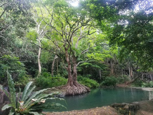 Paglitaw Natural Pools ₱50 @ Tanay, Rizal | PH.vacations