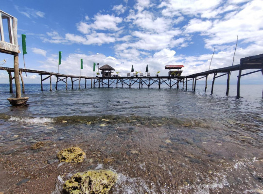 Kamayo Beach Resort ₱150 @ Samal, Davao Del Norte | PH.vacations