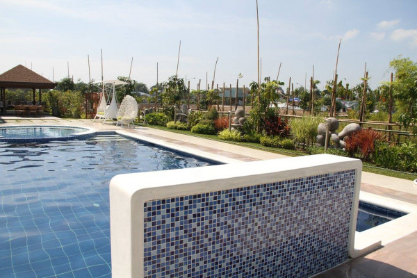 Mula De Victoria (BALE MATUA) ₱15,000 @ Santo Tomas, Pampanga | PH ...