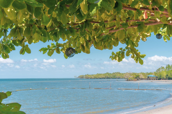 La Vanessa Beach Resort ₱1,000 @ , Surigao Del Sur | PH.vacations