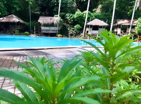 El Ador Farm & Spring Resort ₱1,000 @ La Castellana, Negros Occidental ...