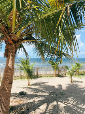 Ohana Beach House ₱14,000 @ Baler, Aurora | PH.vacations