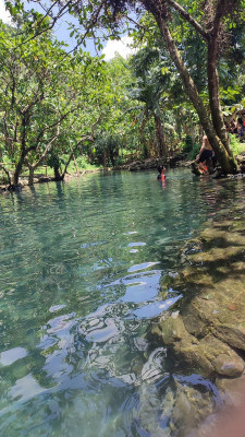 Silva Hotspring Resort ₱50 @ Calauan, Laguna | PH.vacations