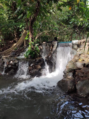 Silva Hotspring Resort ₱50 @ Calauan, Laguna | PH.vacations