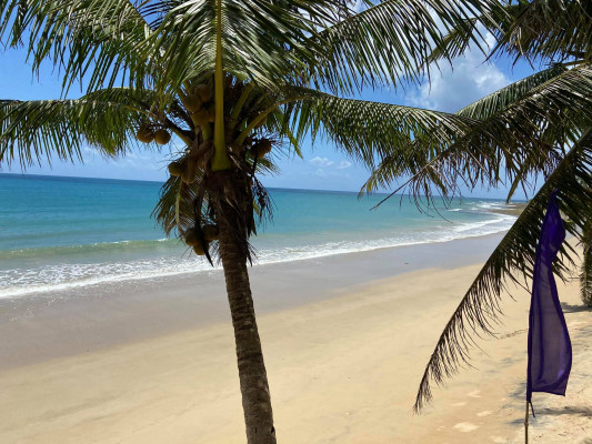 Maca Beach Resort Polillo ₱30 @ Polillo, Quezon | PH.vacations
