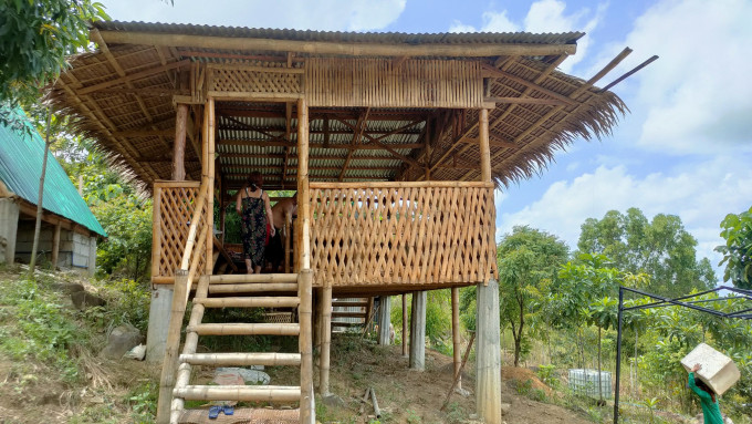 Queen Bee Resort ₱50 @ Rodriguez, Rizal | PH.vacations