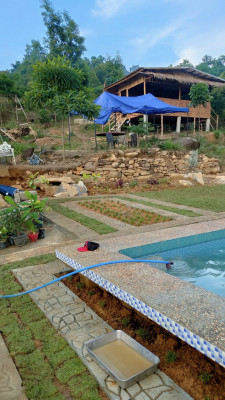 Queen Bee Resort ₱50 @ Rodriguez, Rizal | PH.vacations