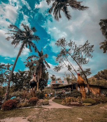 Maui & Son Nasanagan Spring Resort ₱70 @ Binalbagan, Negros Occidental ...