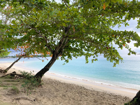Primo White Sand Beach Resort ₱30 @ Baganga, Davao Oriental | PH.vacations