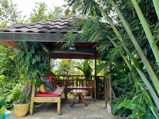 The Alch ₱6,000 @ Don Salvador Benedicto, Negros Occidental | PH.vacations