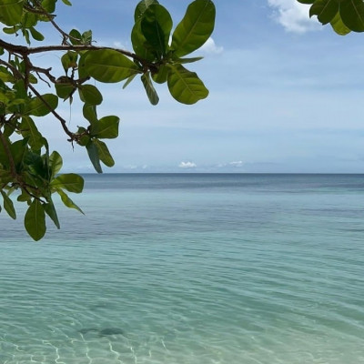 The Tree Sunset Beach & Camp Site ₱1,000 @ Tabuelan, Cebu | PH.vacations